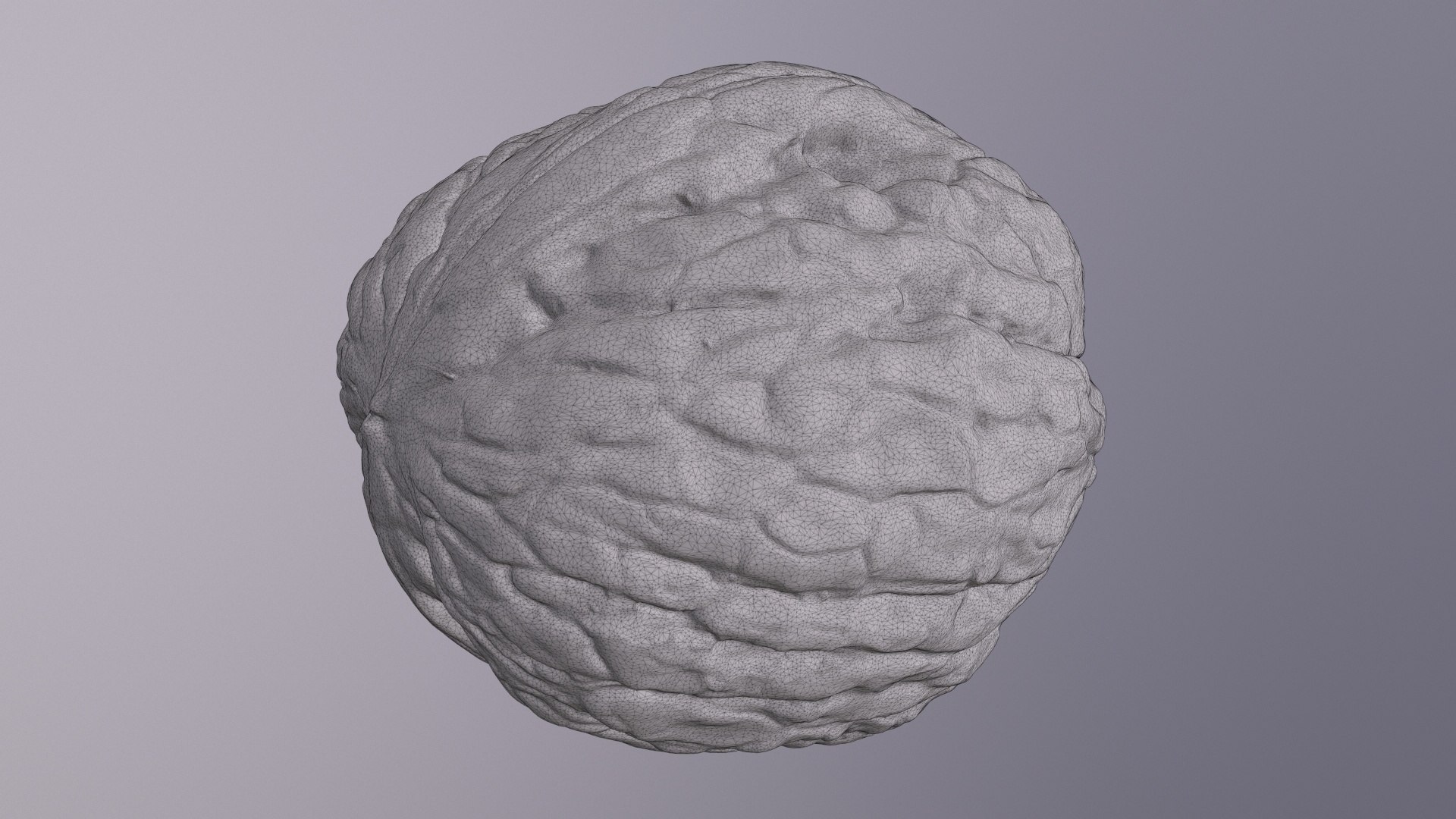 3D Walnut fruit 05 high-poly 3D model model - TurboSquid 1839789