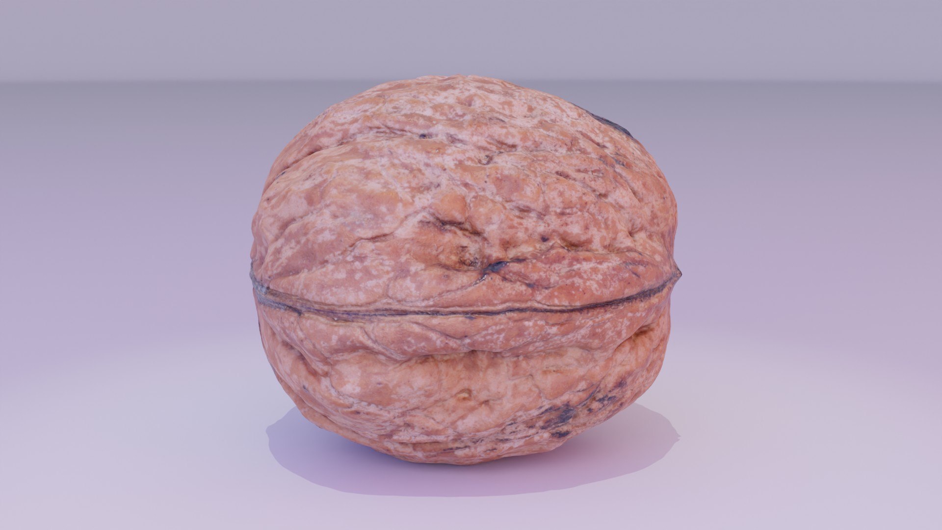 3D Walnut fruit 05 high-poly 3D model model - TurboSquid 1839789