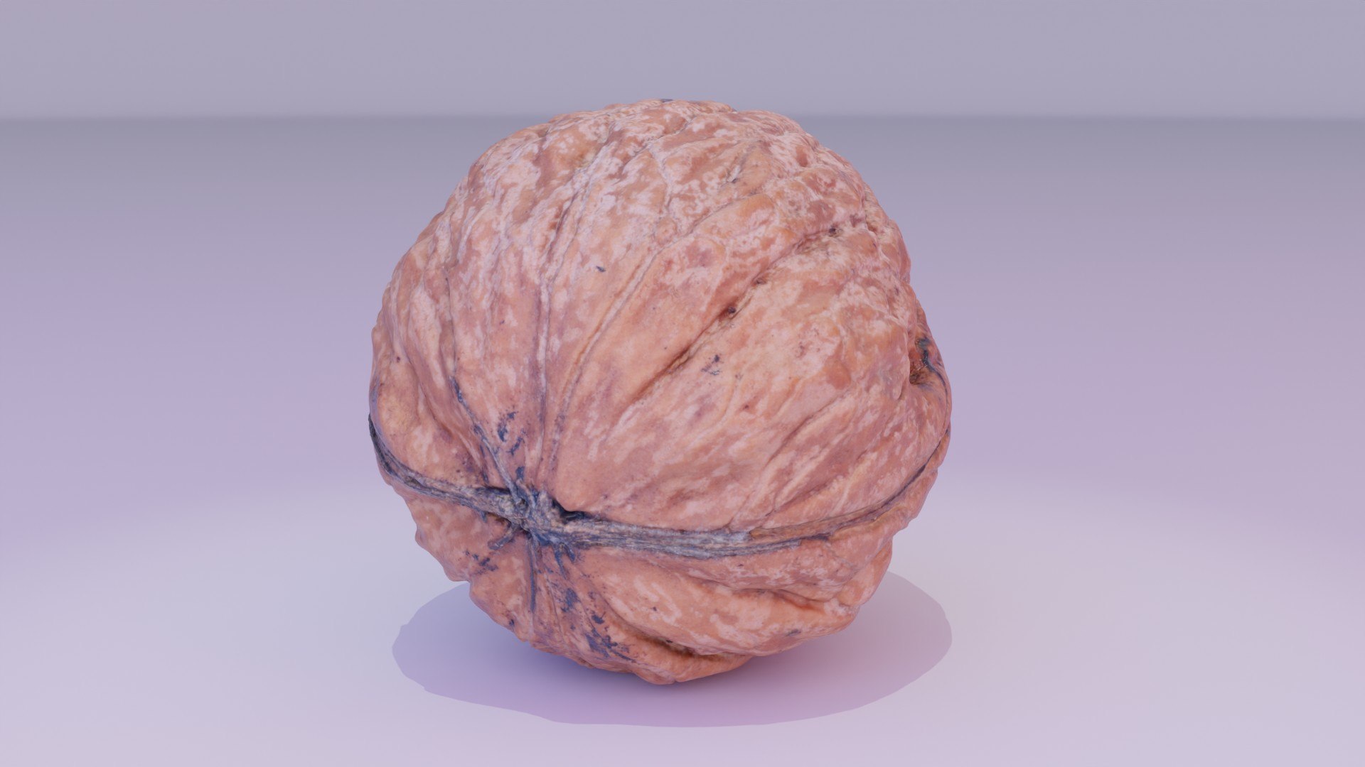 3D Walnut fruit 05 high-poly 3D model model - TurboSquid 1839789