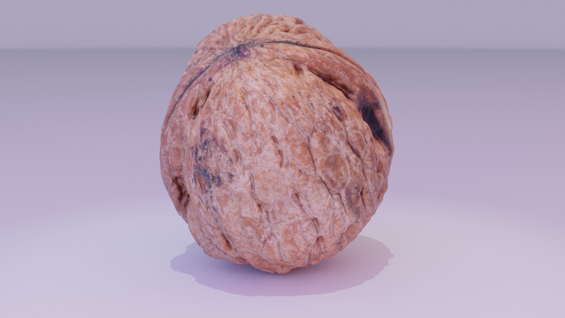 3D Walnut fruit 05 high-poly 3D model model - TurboSquid 1839789