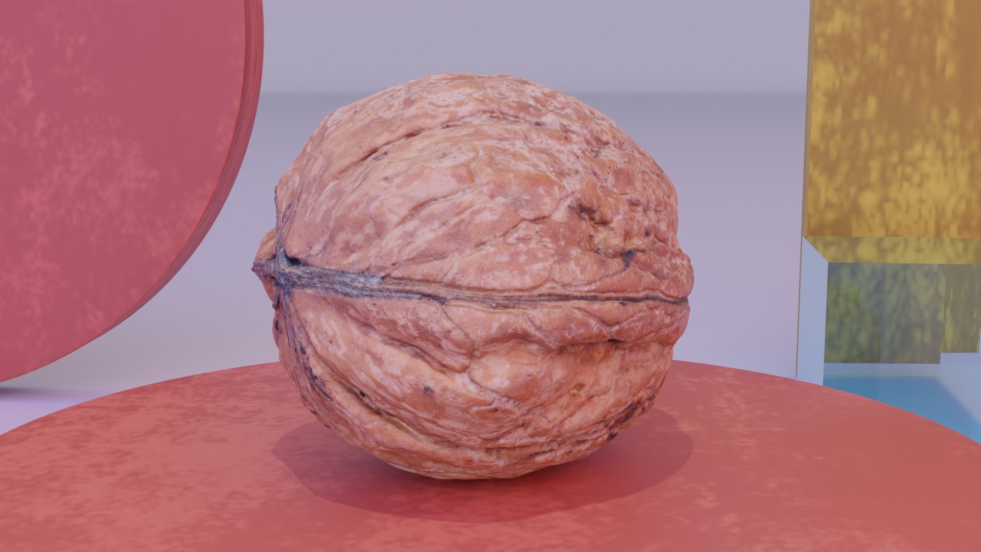 3D Walnut fruit 05 high-poly 3D model model - TurboSquid 1839789