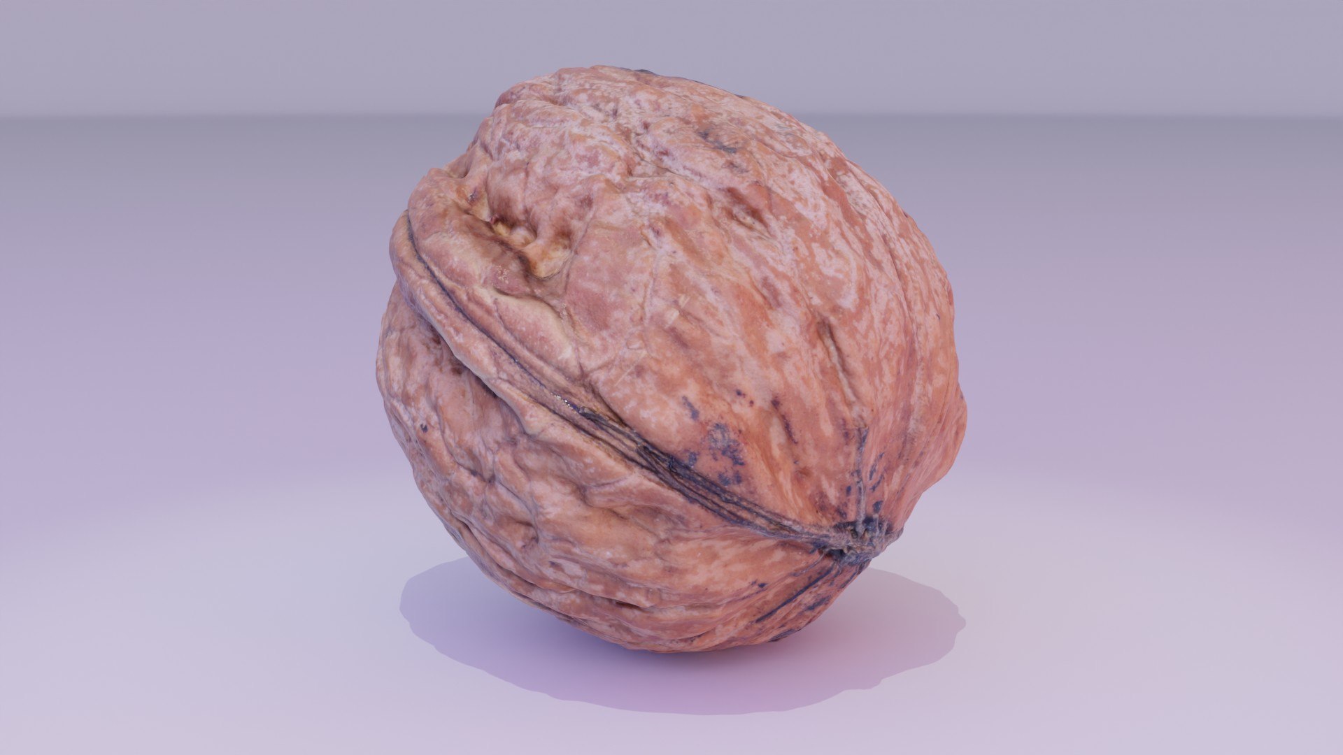3D Walnut fruit 05 high-poly 3D model model - TurboSquid 1839789