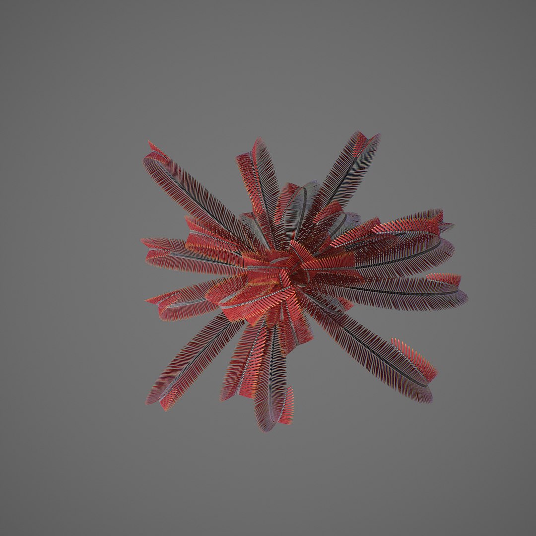 Crinoid 3D - TurboSquid 1737772