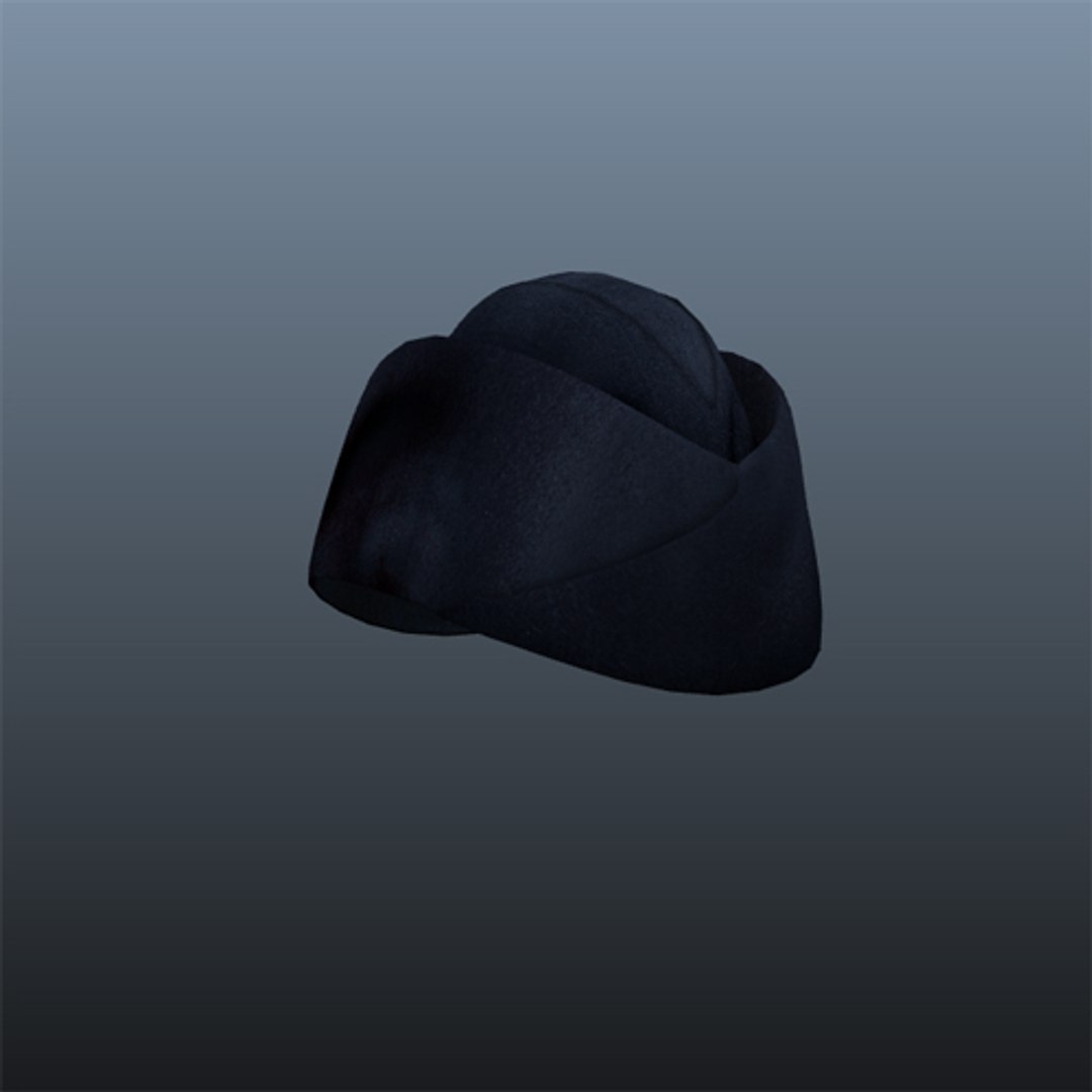Air Force Hat 3d Model