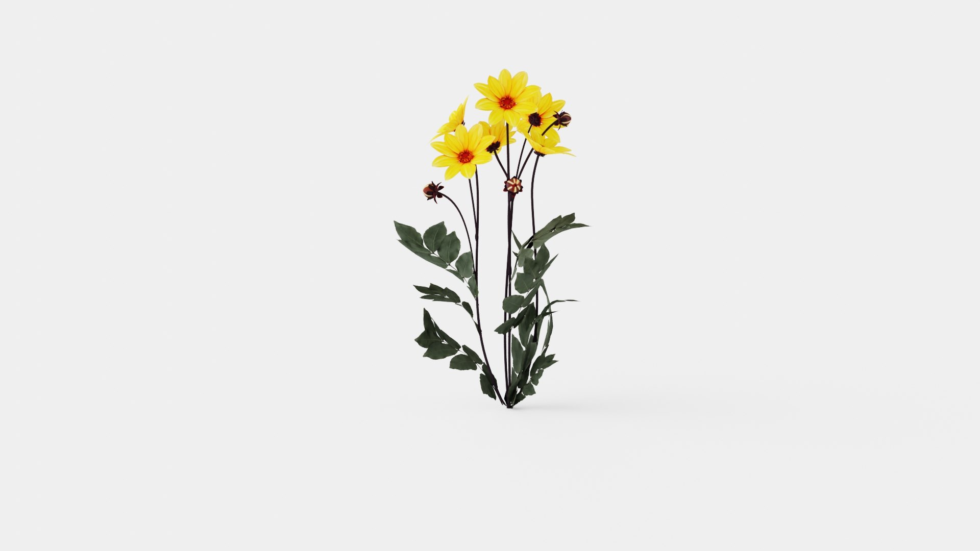 BISHOP OF YORK 3D Model - TurboSquid 2249204