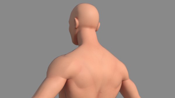 3D character male body base model - TurboSquid 1493749