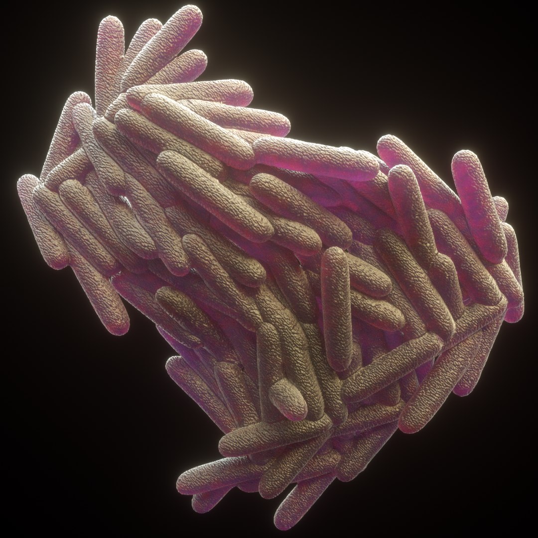 3D Model Mycobacterium Tuberculosis - TurboSquid 1389736