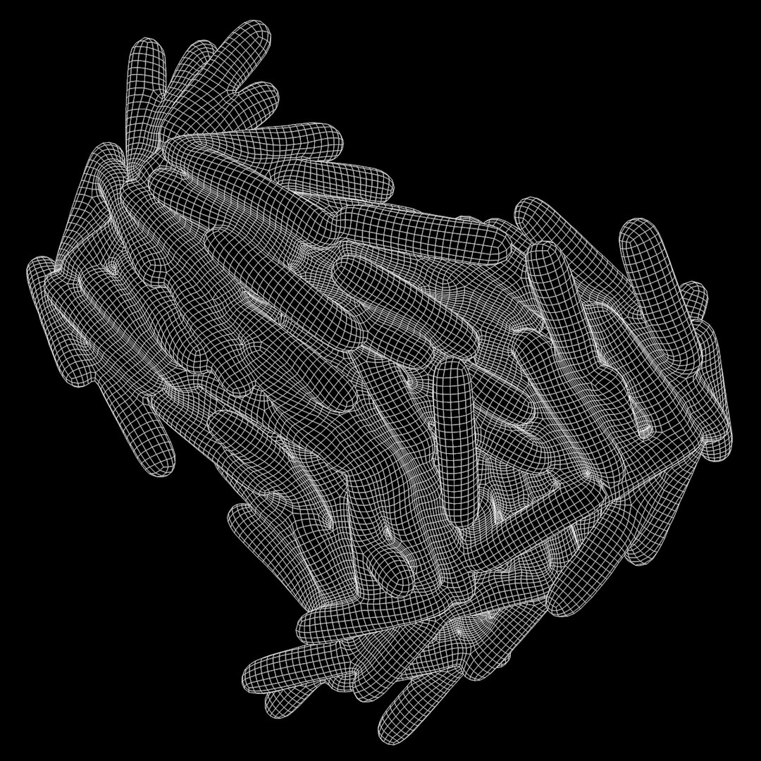 3D Model Mycobacterium Tuberculosis - TurboSquid 1389736