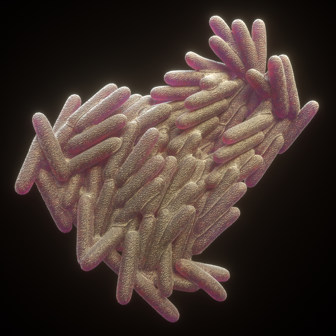 3D Model Mycobacterium Tuberculosis - TurboSquid 1389736