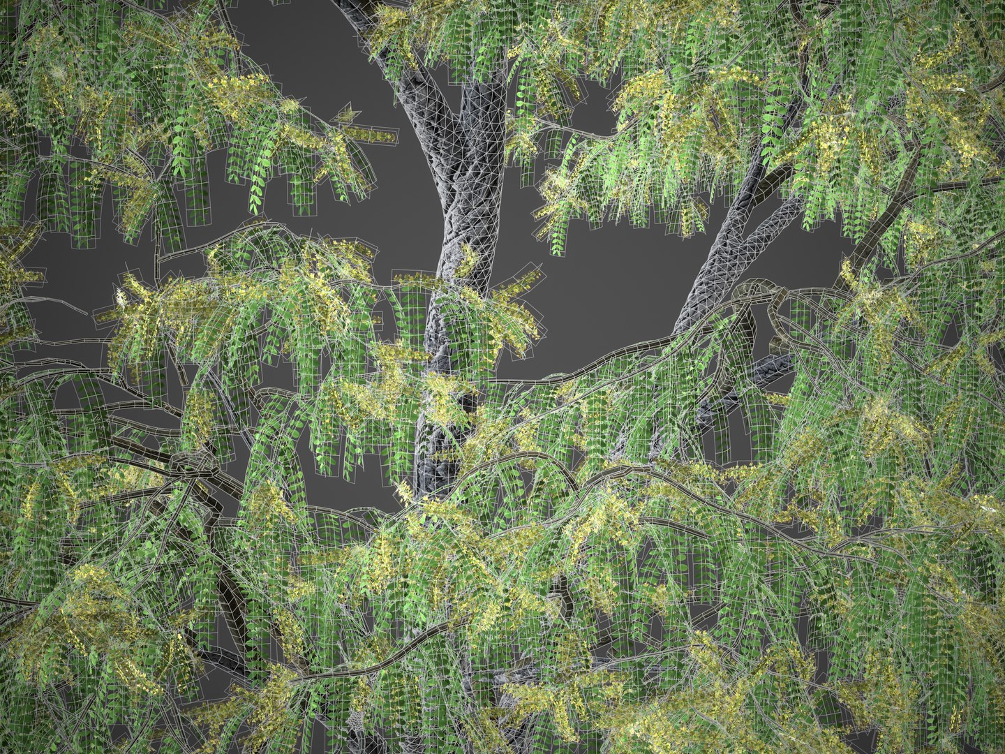 Free 3D XfrogPlants Honey Locust - Gledista Triacanthos - TurboSquid ...