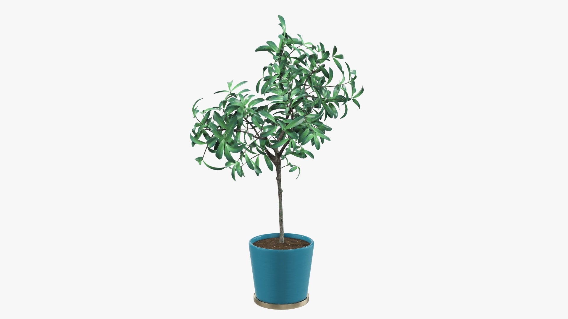 3D model decorative tree pot - TurboSquid 1651307