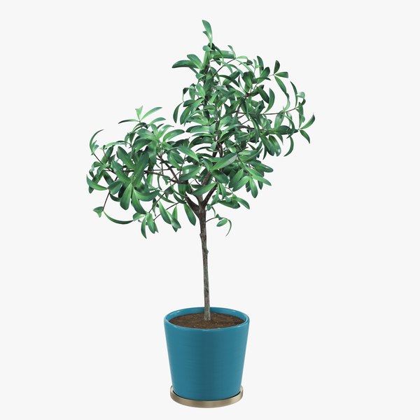 3D model decorative tree pot - TurboSquid 1651307