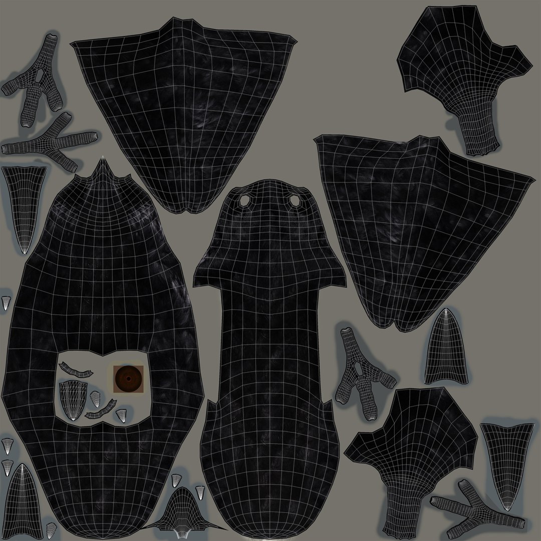 Corvus Corax Common Raven 3d Model