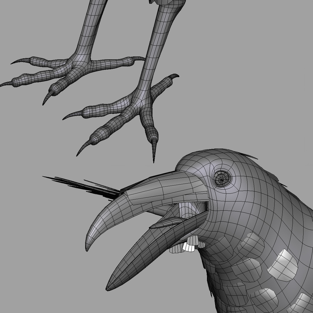 corvus corax common raven 3d model
