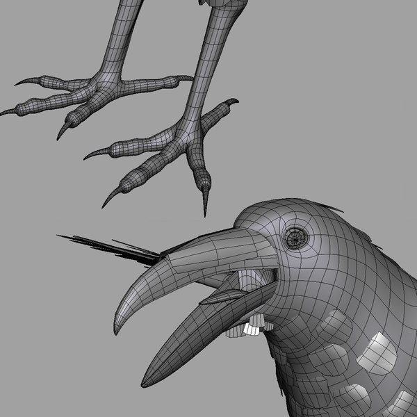 corvus corax common raven 3d model