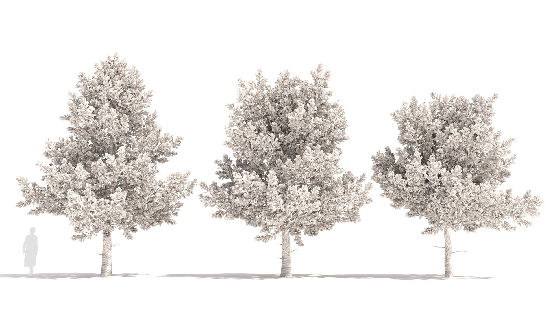 Picea Tree 3D Model - TurboSquid 2057841