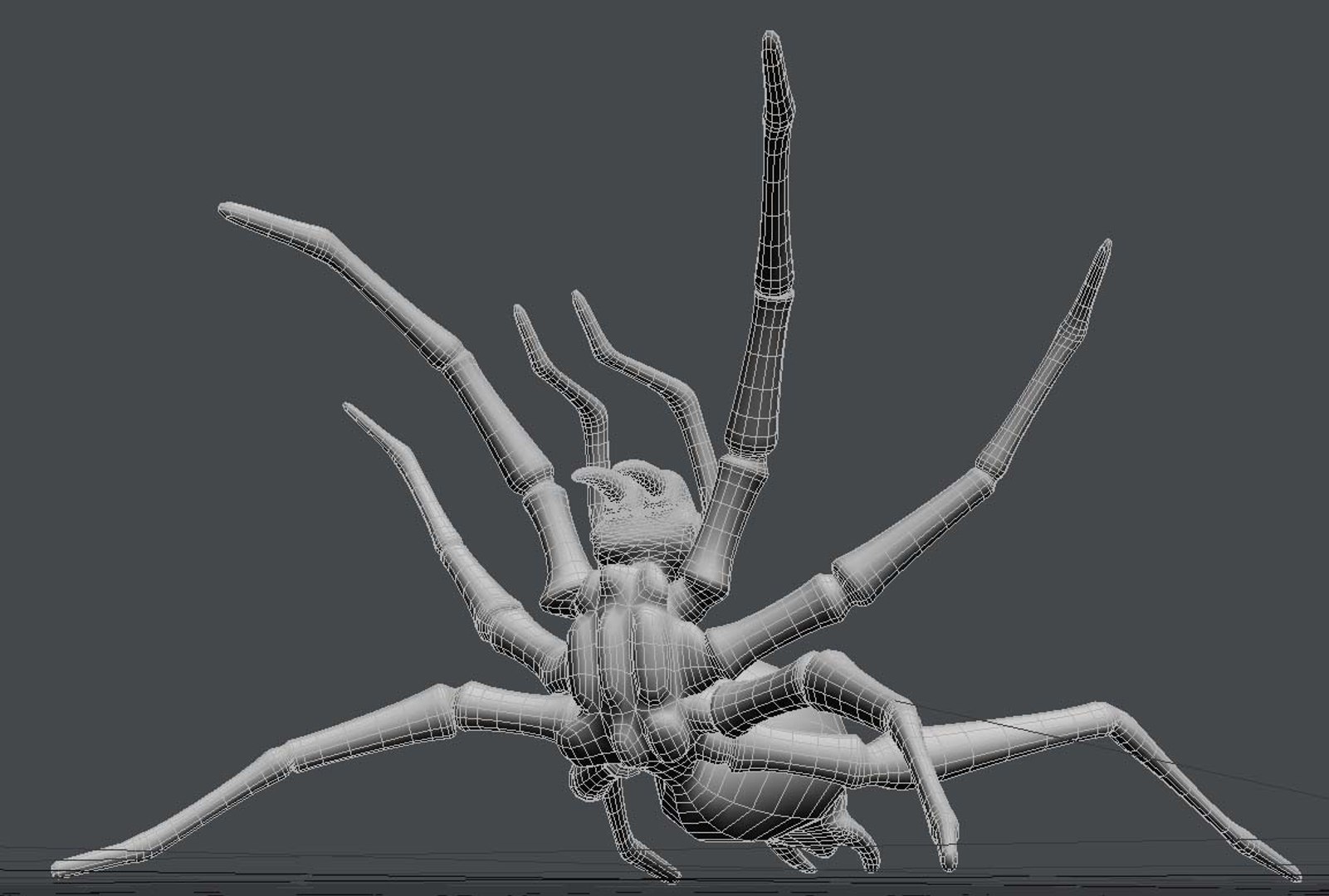 Rearing Spider 3D Model - TurboSquid 1193097