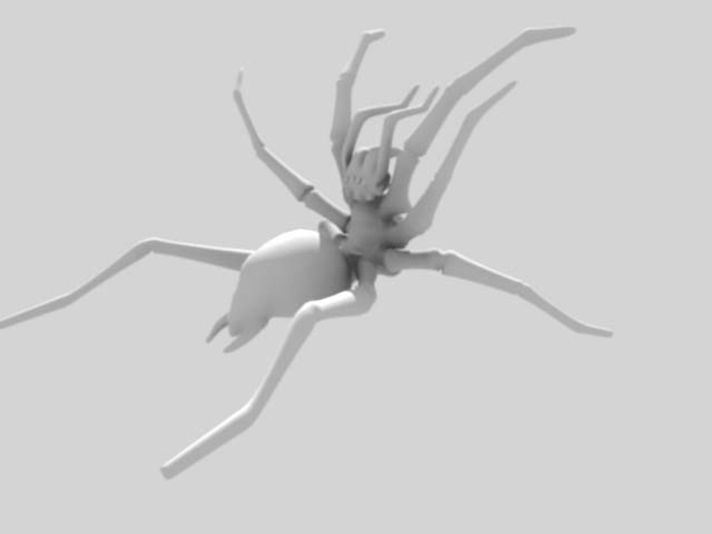 Rearing Spider 3D Model - TurboSquid 1193097