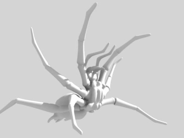 Rearing spider 3D model - TurboSquid 1193097