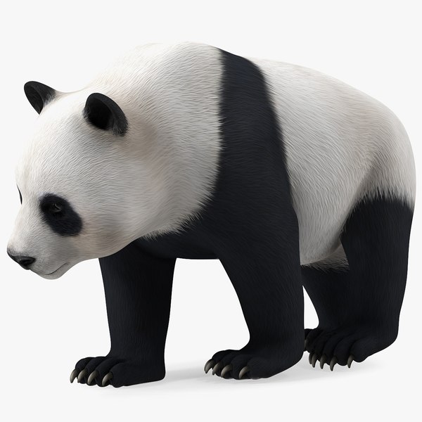 Low Poly Panda Bear 3D Models for Download | TurboSquid
