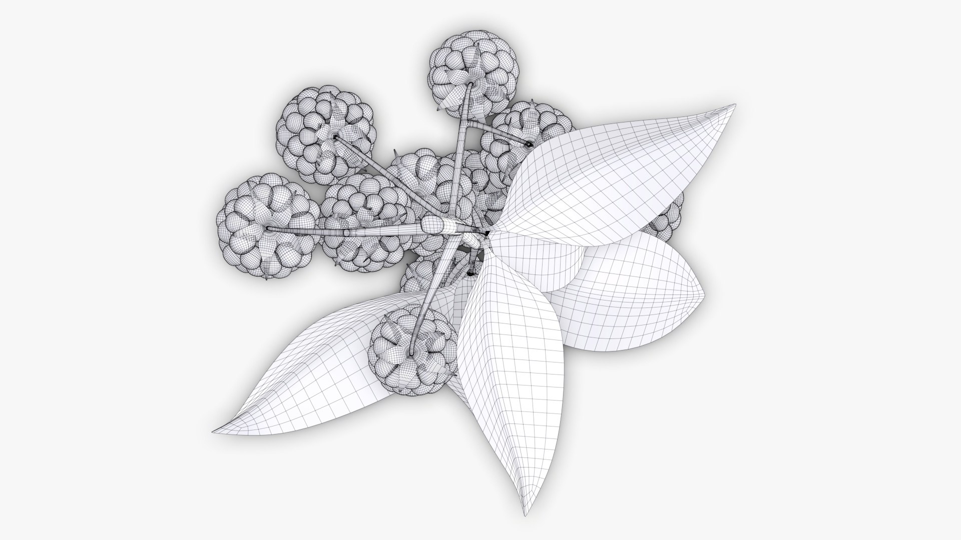 3D Model Black Branch - TurboSquid 1658185