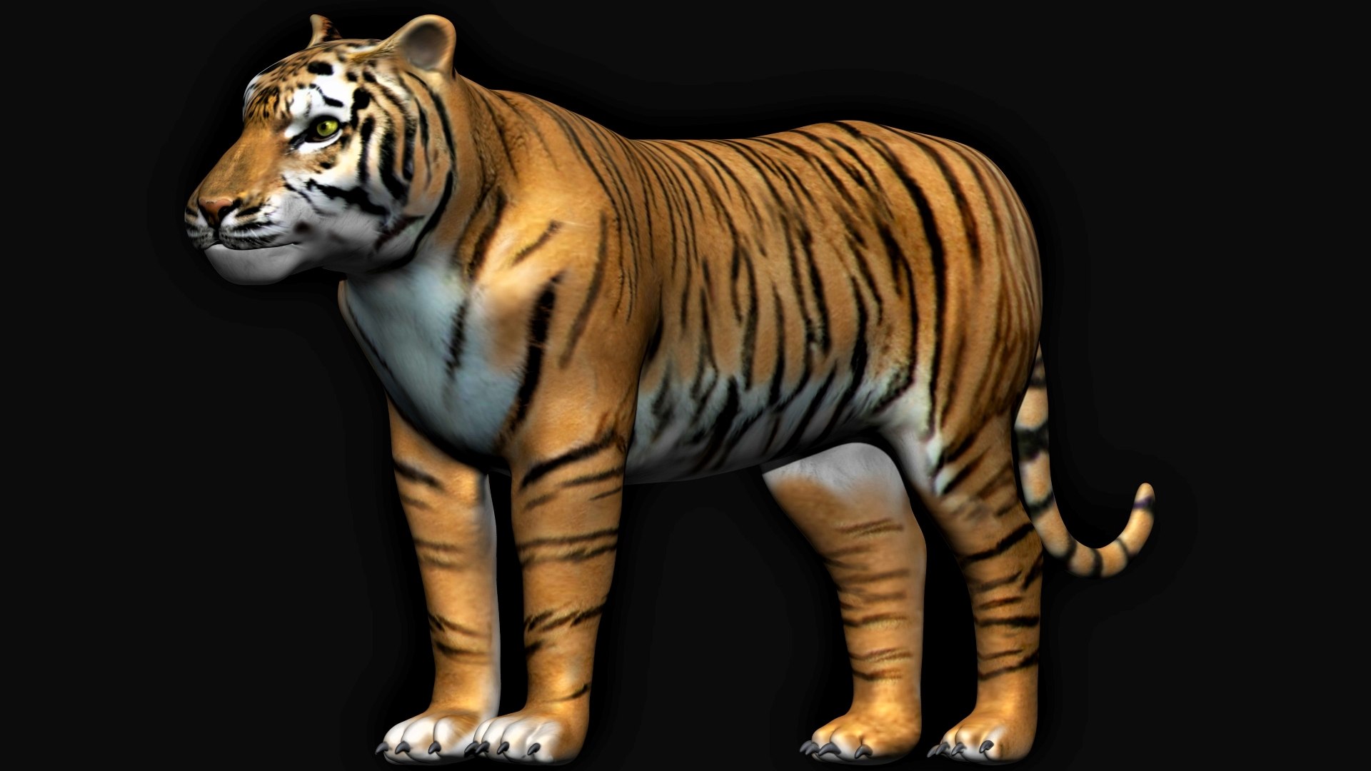 Fully rigged tiger 3D model - TurboSquid 1689980