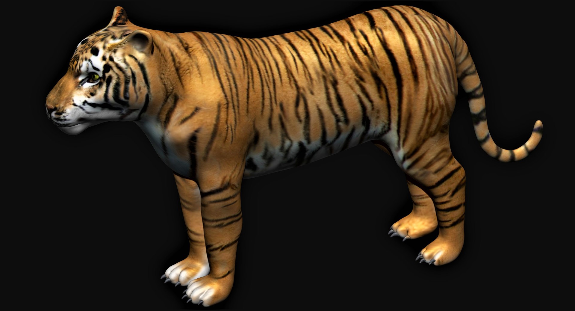 Fully rigged tiger 3D model - TurboSquid 1689980