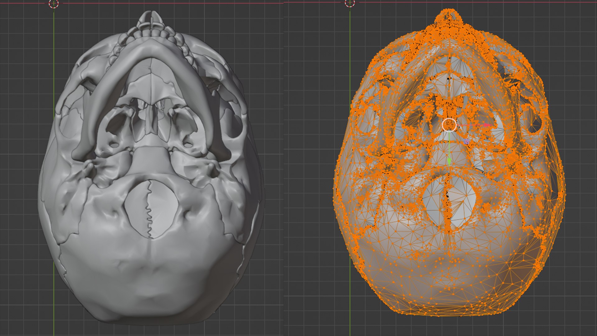 3D 3D Model Of Skull Bones Model - TurboSquid 2077746