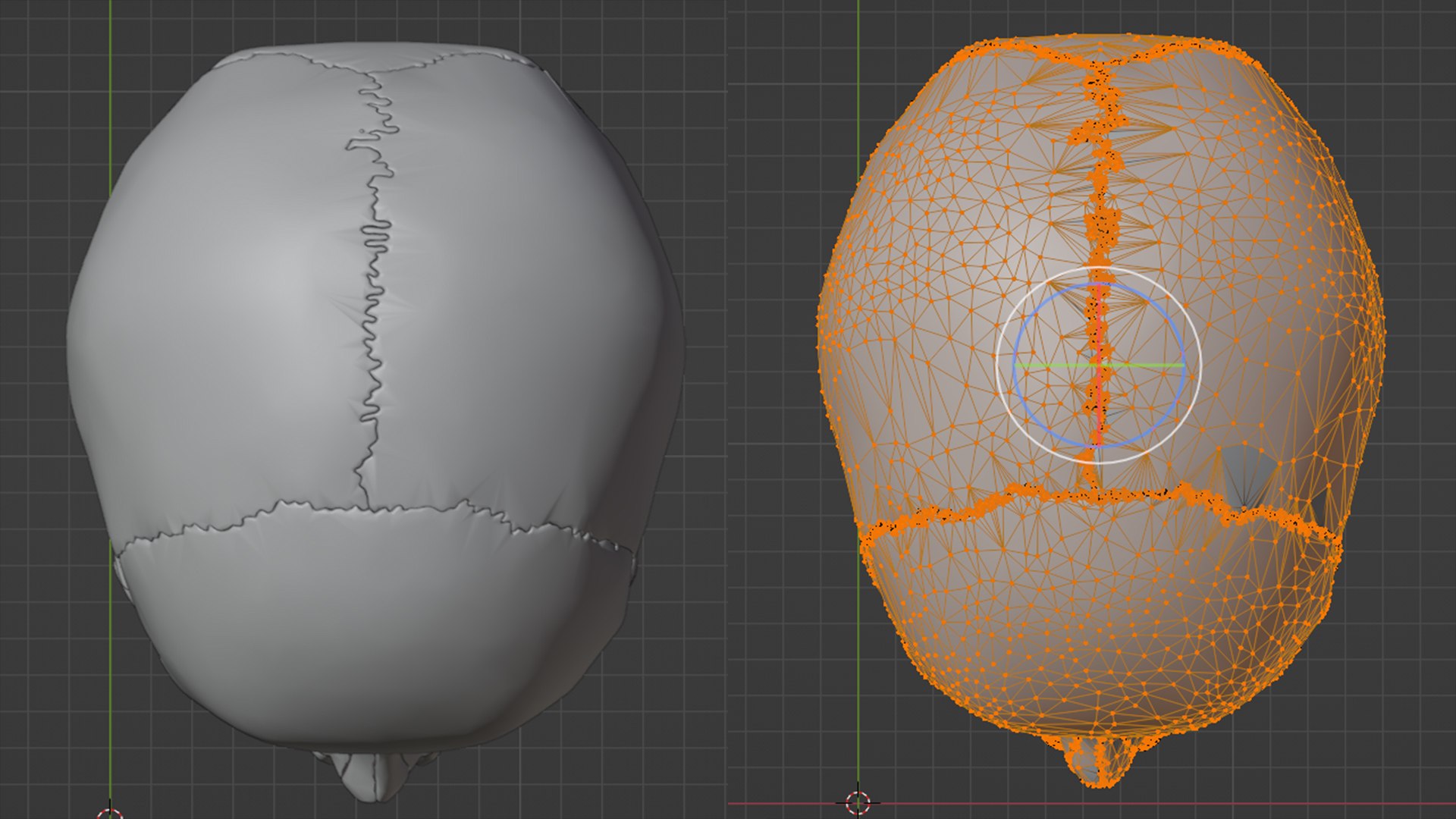 3D 3D Model Of Skull Bones Model - TurboSquid 2077746