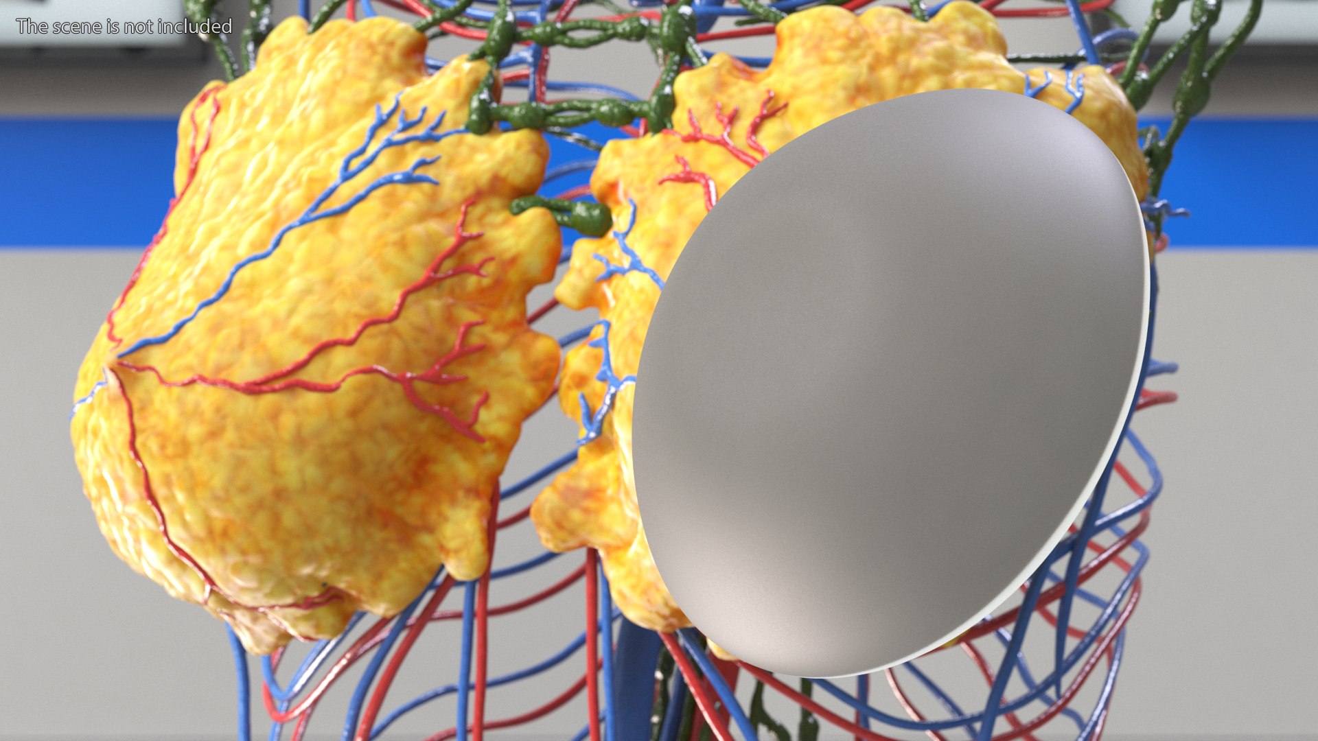 3D Textured Full Breast Implant model - TurboSquid 2164181