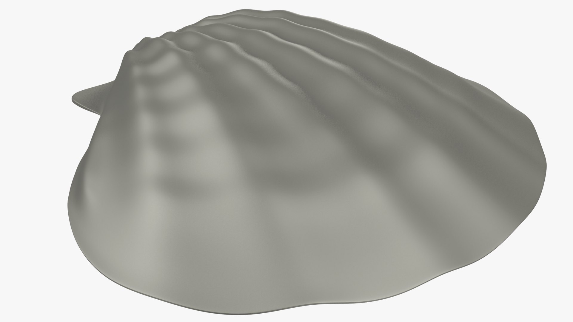3D Seashell Sea Shell - TurboSquid 1619385