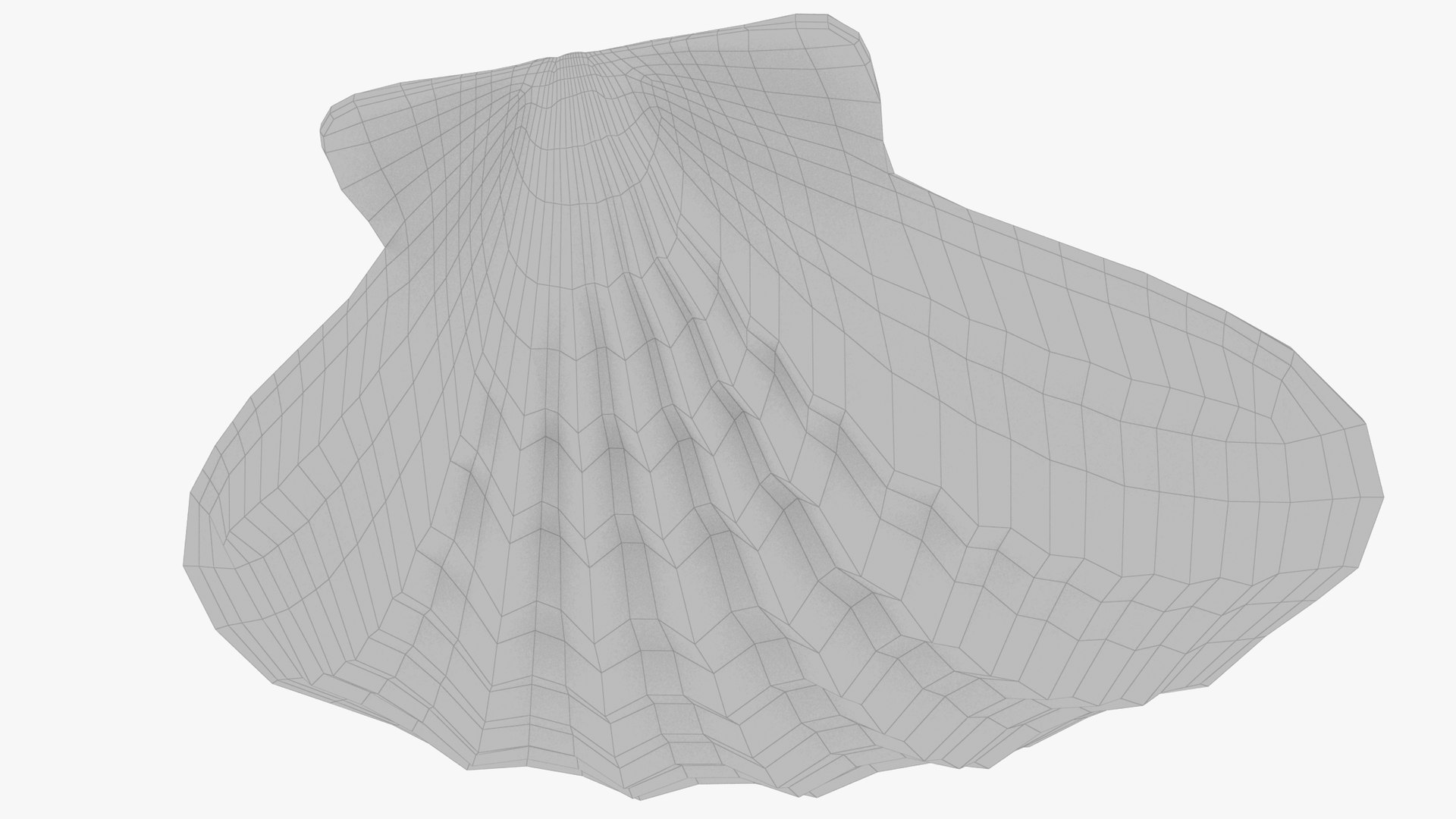 3D Seashell Sea Shell - TurboSquid 1619385