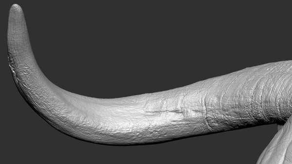 Bull el Toro VFX Zbrush Sculpture Digitale 3D model - TurboSquid 1803984