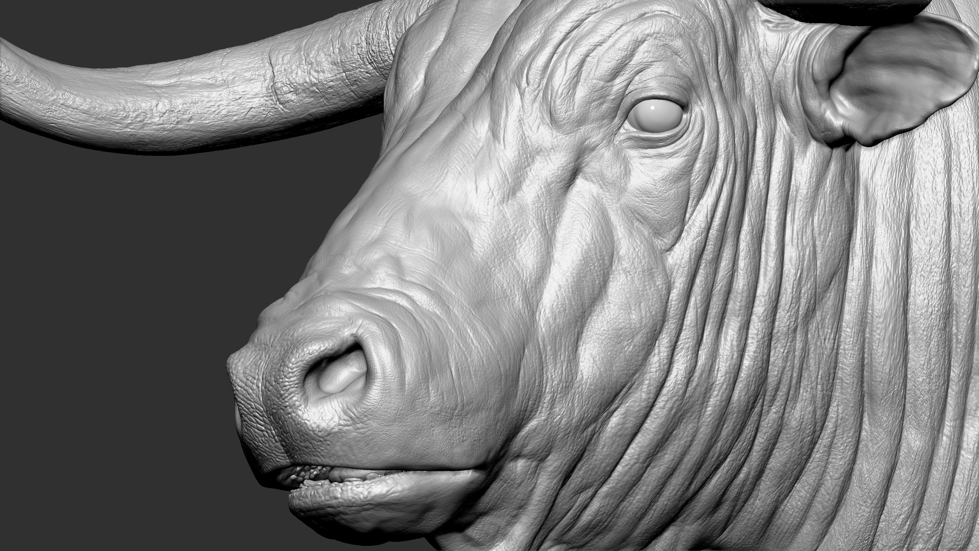 Bull el Toro VFX Zbrush Sculpture Digitale 3D model - TurboSquid 1803984
