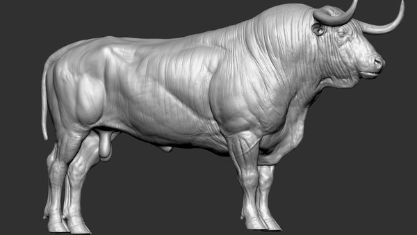 Bull el Toro VFX Zbrush Sculpture Digitale 3D model - TurboSquid 1803984