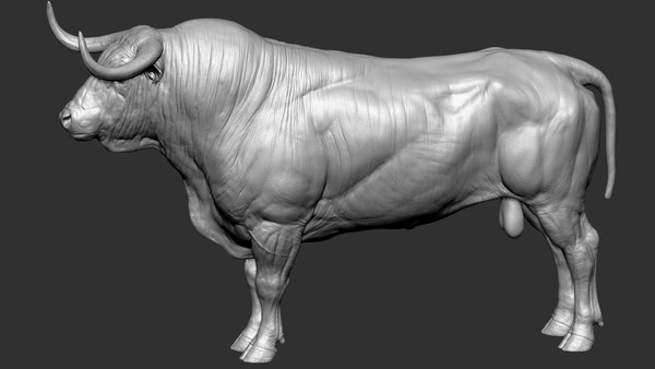 Bull el Toro VFX Zbrush Sculpture Digitale 3D model - TurboSquid 1803984