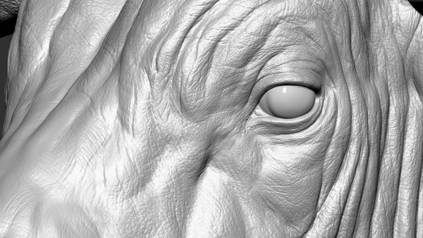 Bull el Toro VFX Zbrush Sculpture Digitale 3D model - TurboSquid 1803984