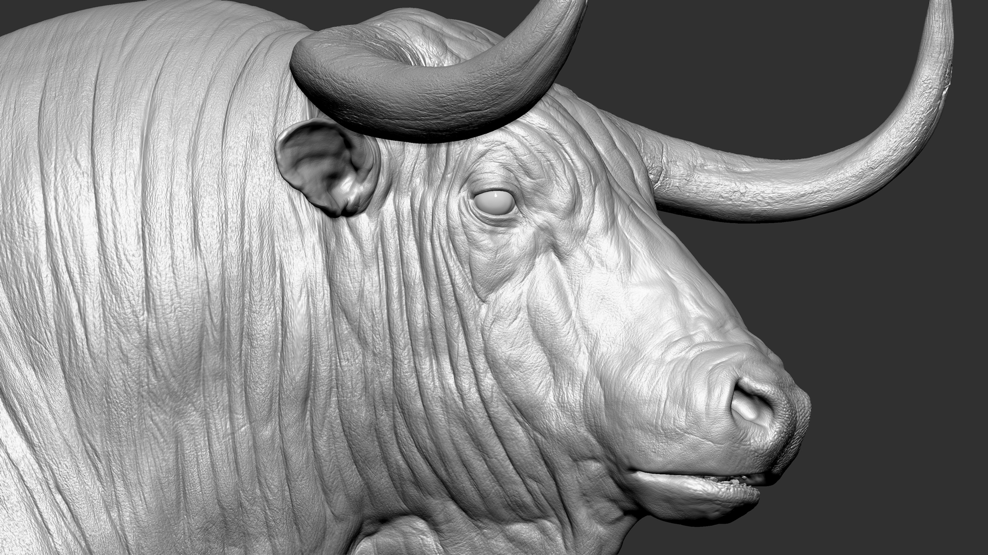 Bull el Toro VFX Zbrush Sculpture Digitale 3D model - TurboSquid 1803984