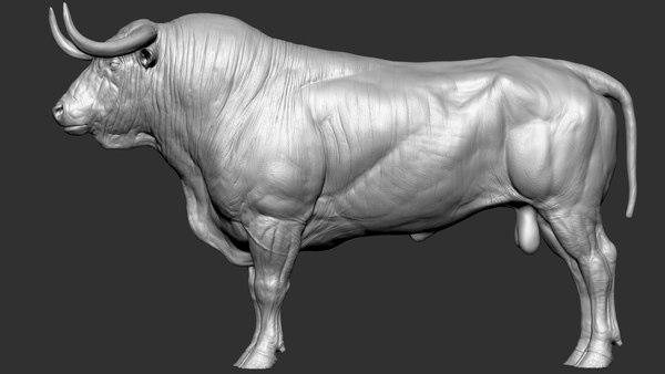 Bull el Toro VFX Zbrush Sculpture Digitale 3D model - TurboSquid 1803984