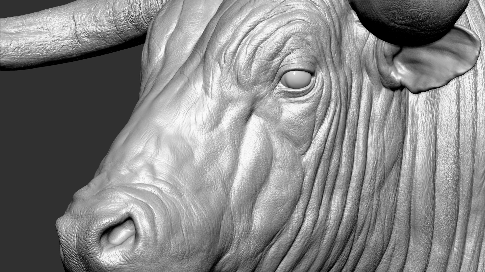 Bull el Toro VFX Zbrush Sculpture Digitale 3D model - TurboSquid 1803984