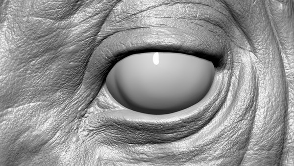 Bull el Toro VFX Zbrush Sculpture Digitale 3D model - TurboSquid 1803984
