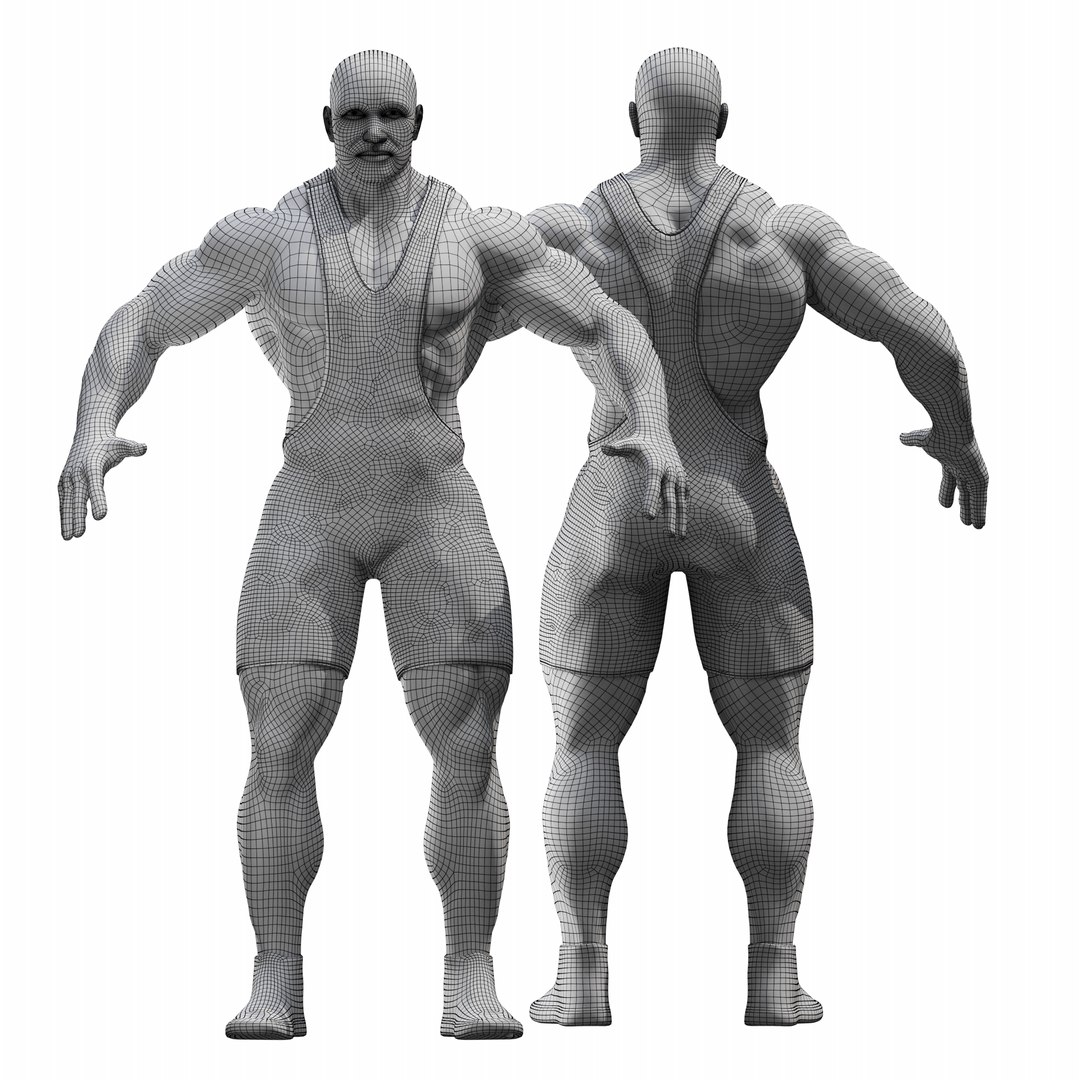 Rig Skin 3D Model - TurboSquid 1473690