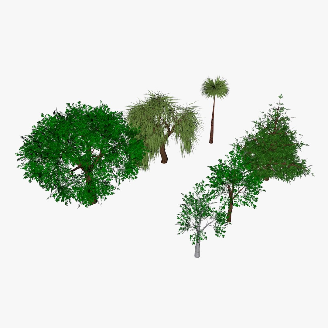 Tree 3D - TurboSquid 1717032