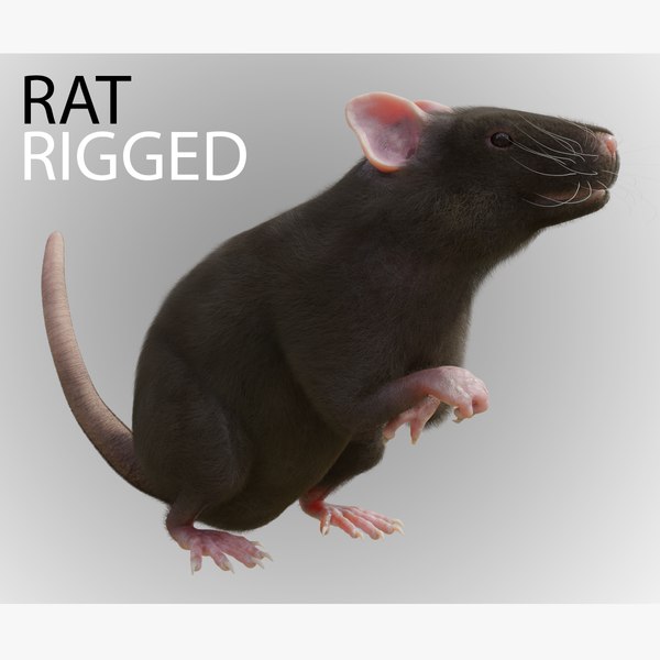 Free 3D Cgi Models | TurboSquid