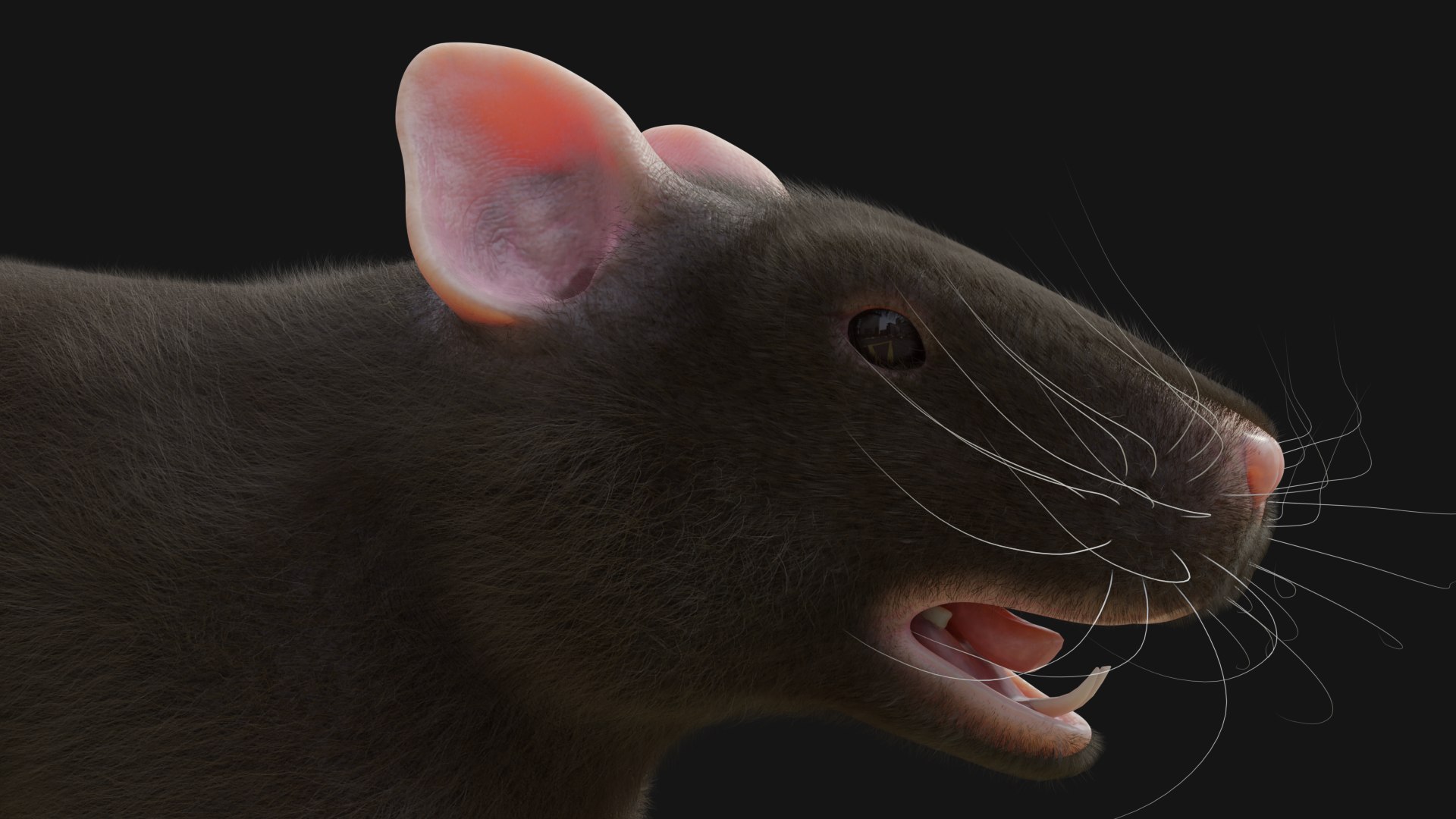 3D RET FOR VFX CGI - TurboSquid 2213424