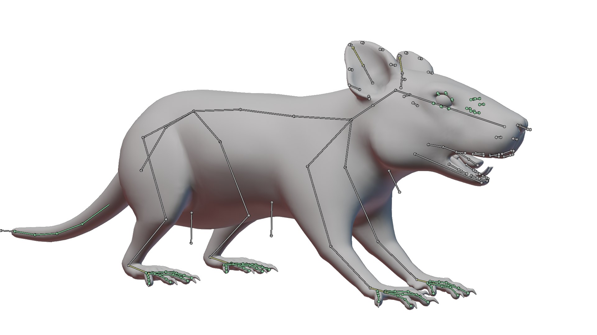 3D RET FOR VFX CGI - TurboSquid 2213424