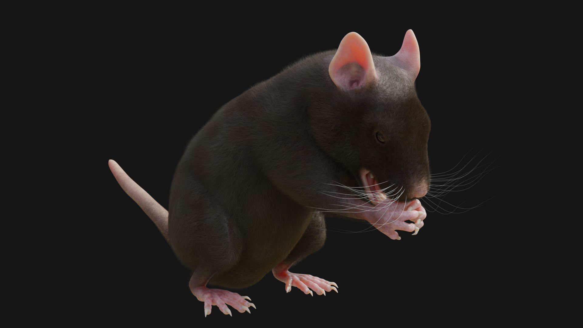 3D RET FOR VFX CGI - TurboSquid 2213424