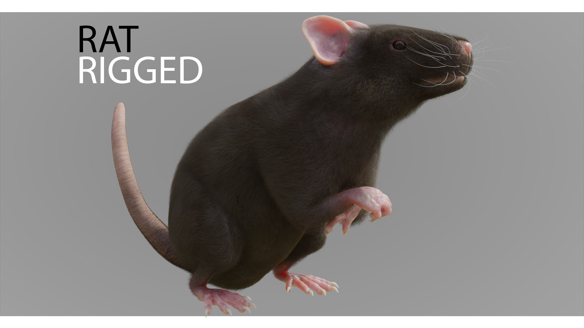 3D RET FOR VFX CGI - TurboSquid 2213424