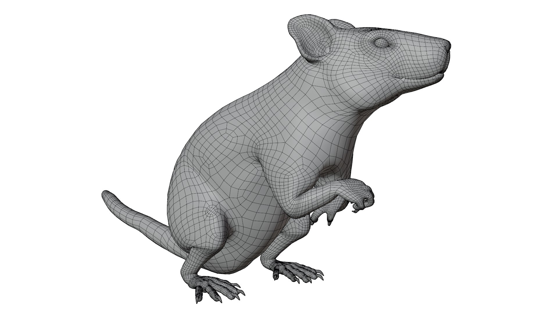 3D RET FOR VFX CGI - TurboSquid 2213424