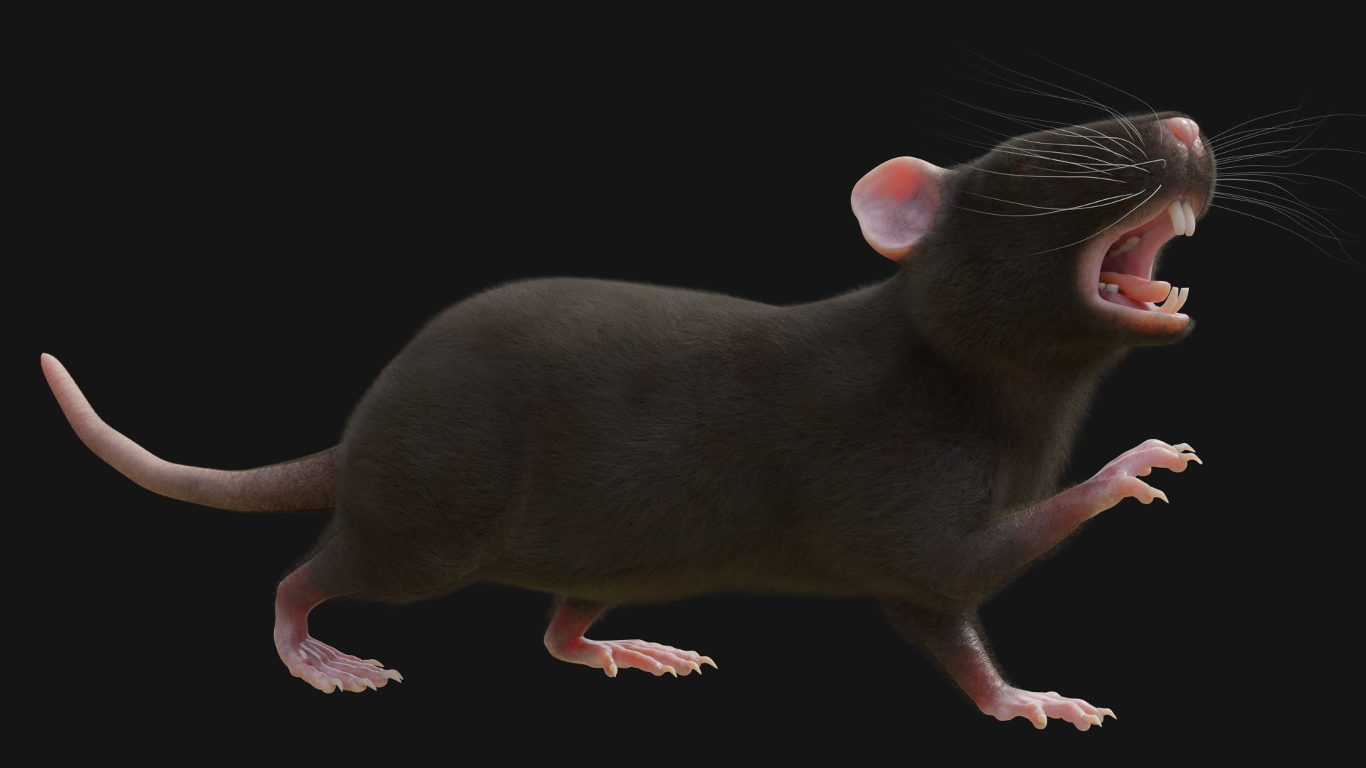 3D RET FOR VFX CGI - TurboSquid 2213424